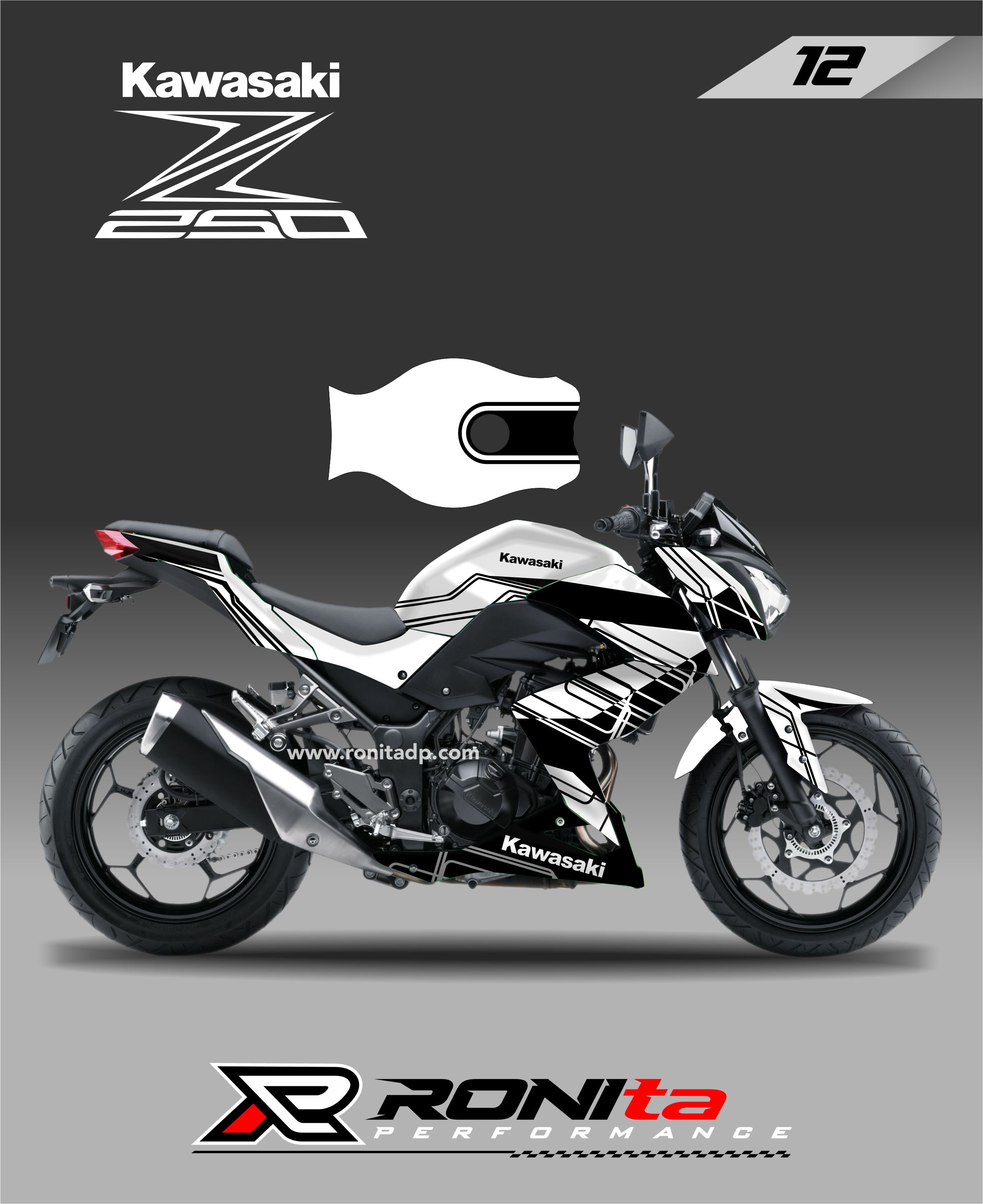 Decal Fullbody Kawasaki Z250