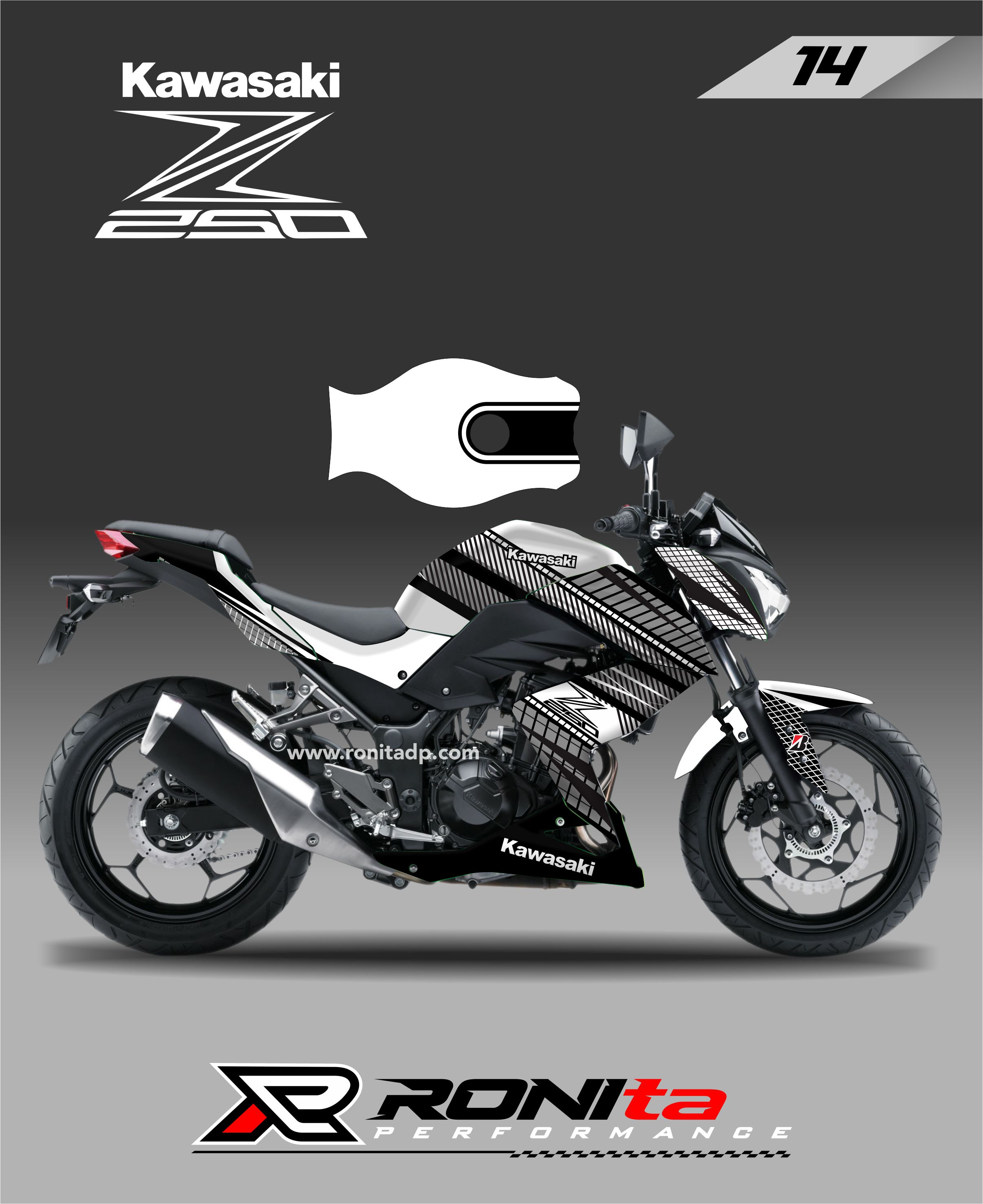 Decal Fullbody Kawasaki Z250