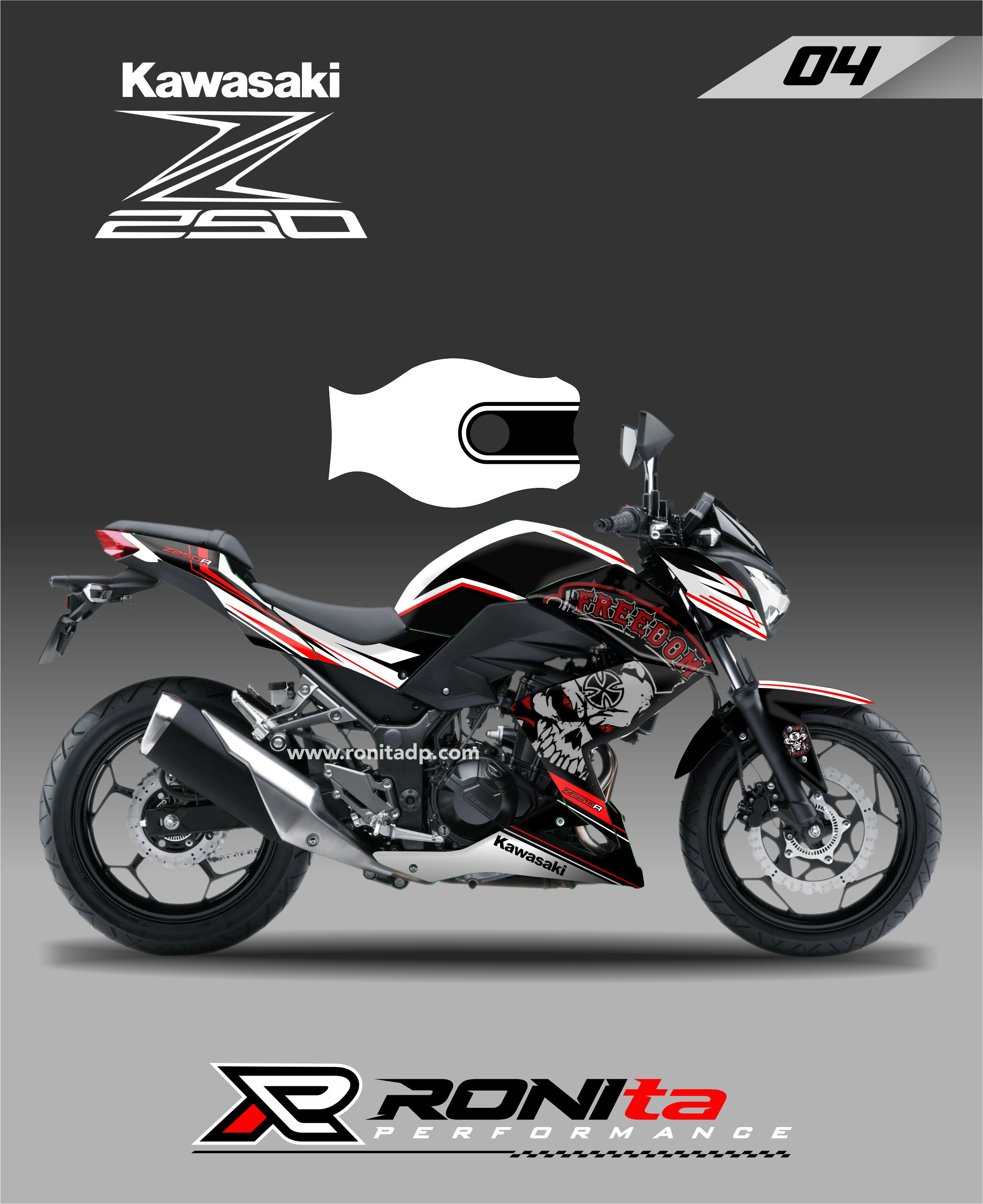 Decal Fullbody Kawasaki Z250